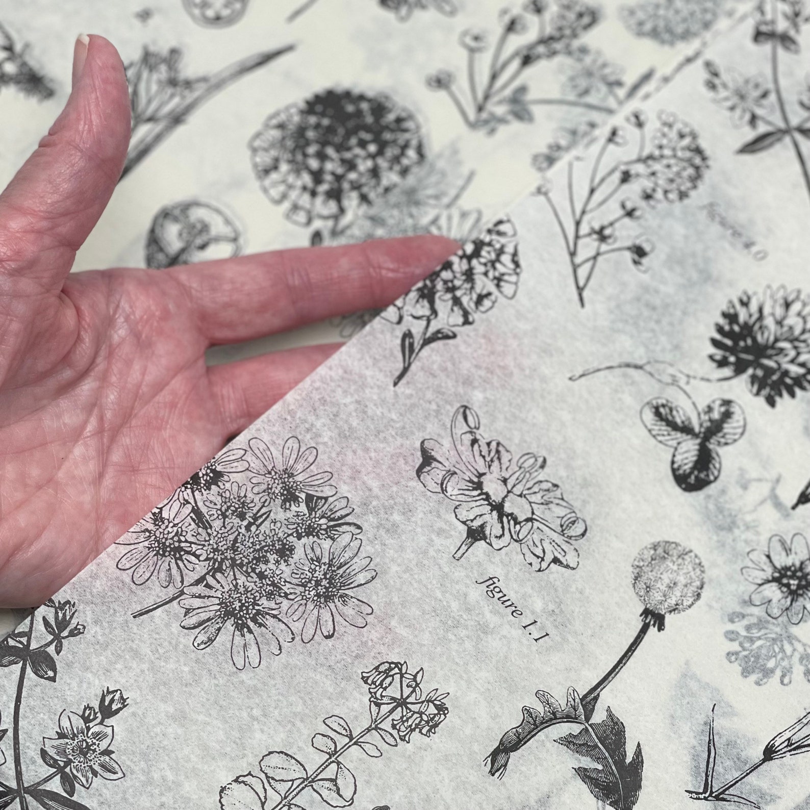 Botanical Tissue Paper 24 Sheets 20 X 30 Bulk - Etsy