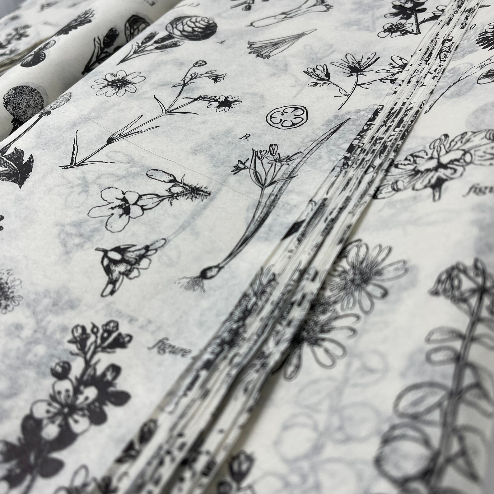 Botanical Tissue Paper 24 Sheets 20 X 30 Bulk - Etsy