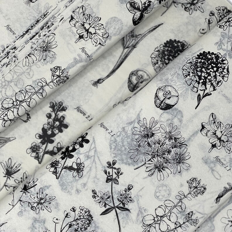 Botanical Tissue Paper 24 Sheets 20" X 30" Bulk Black off White ...