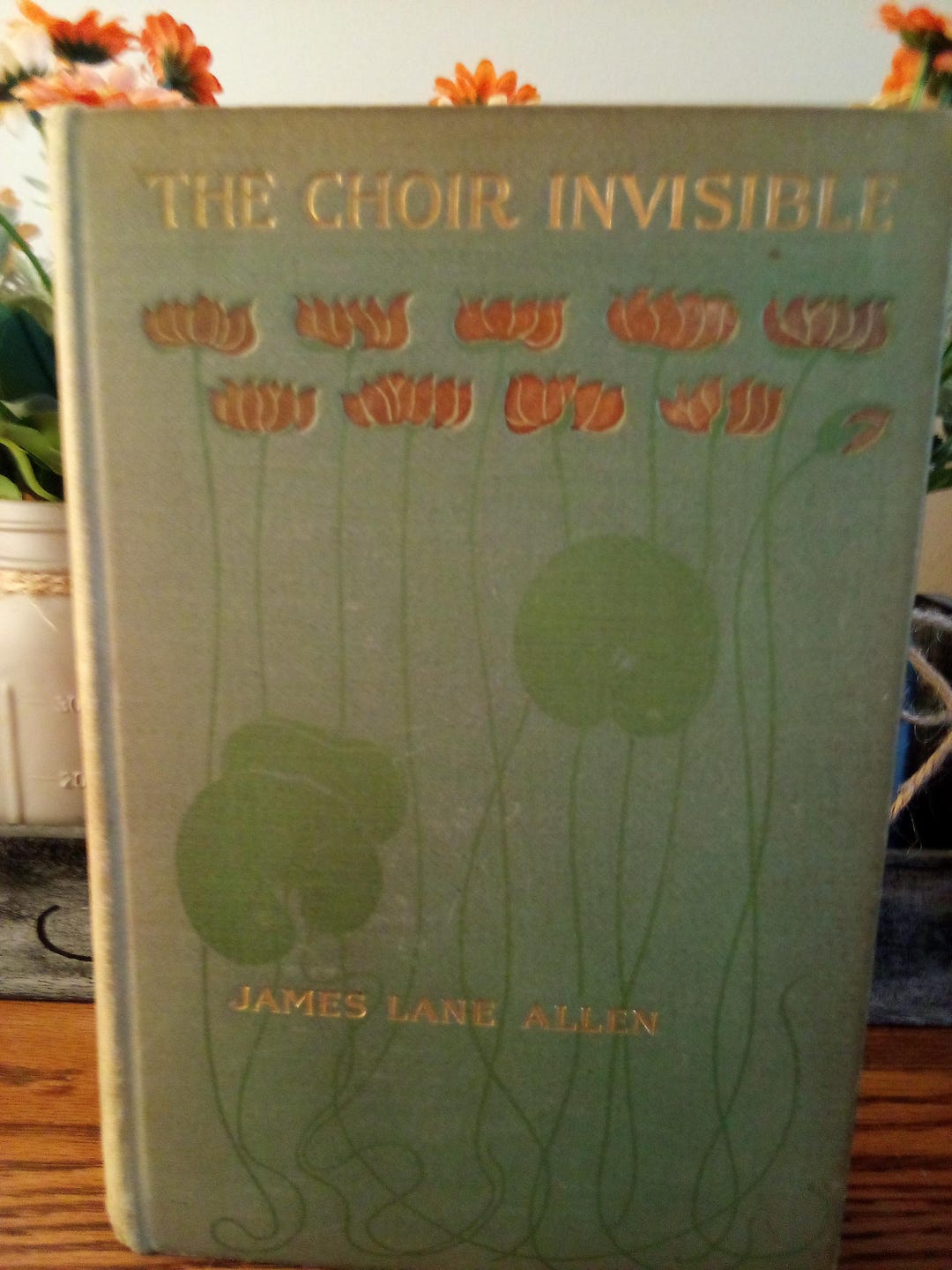 The Choir Invisible James Lane Allen 1898 Illustrated - Etsy