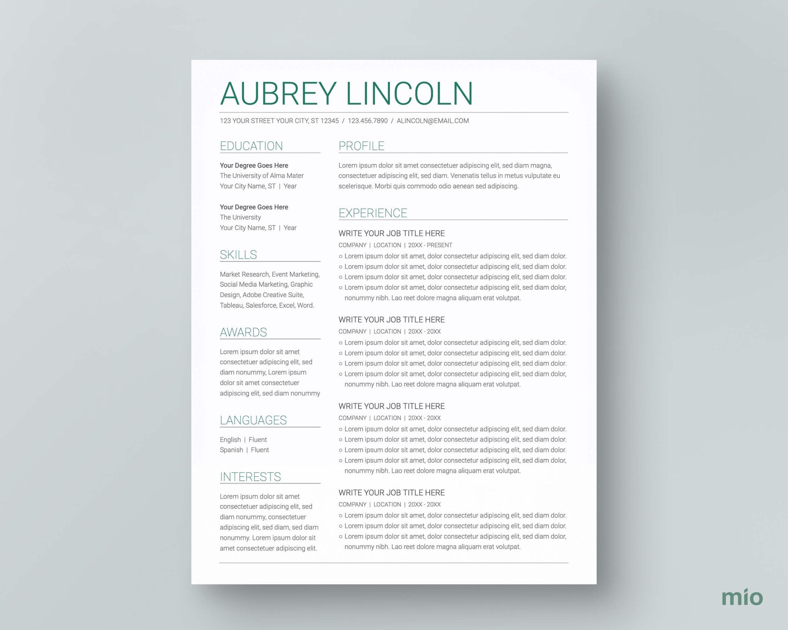 Google Docs Resume Template. Simple Resume Template Google Docs and CV ...