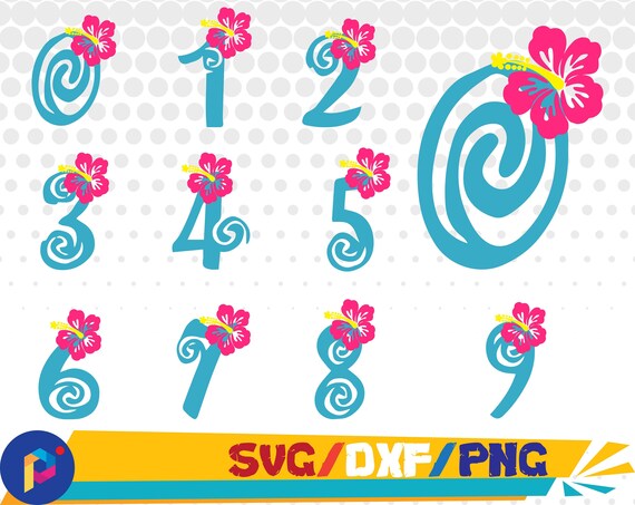 Moana number svgdxfpng/Moana number clipart/Moana svg for | Etsy