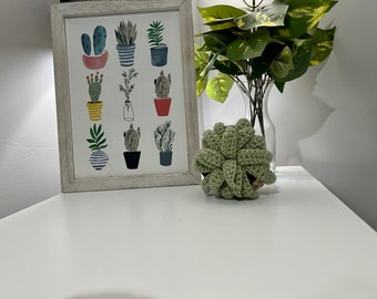 Crochet String of Pearls Succulent Plant - Etsy