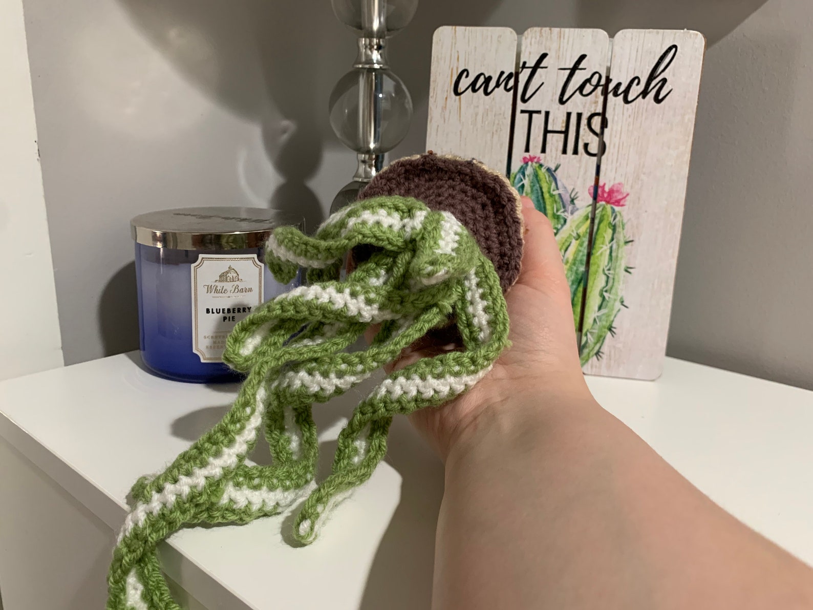 Crochet Spider Plant - Etsy
