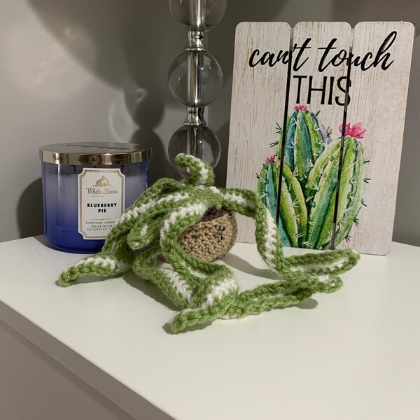 Crochet Spider Plant - Etsy