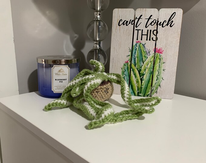 Crochet Spider Plant - Etsy
