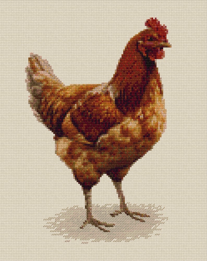 Brown Chicken Cross Stitch Pattern, PDF X Stitch Pattern, Counted Cross ...
