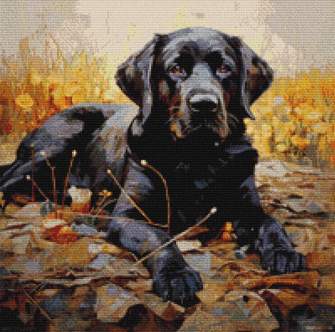 Black Labrador Cross Stitch Pattern, Instant Download PDF and XSD, Full ...