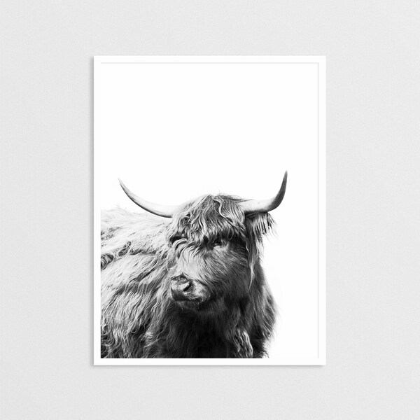 Large Buffalo Print - Etsy