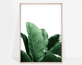 Banana Leaf Poster | Etsy