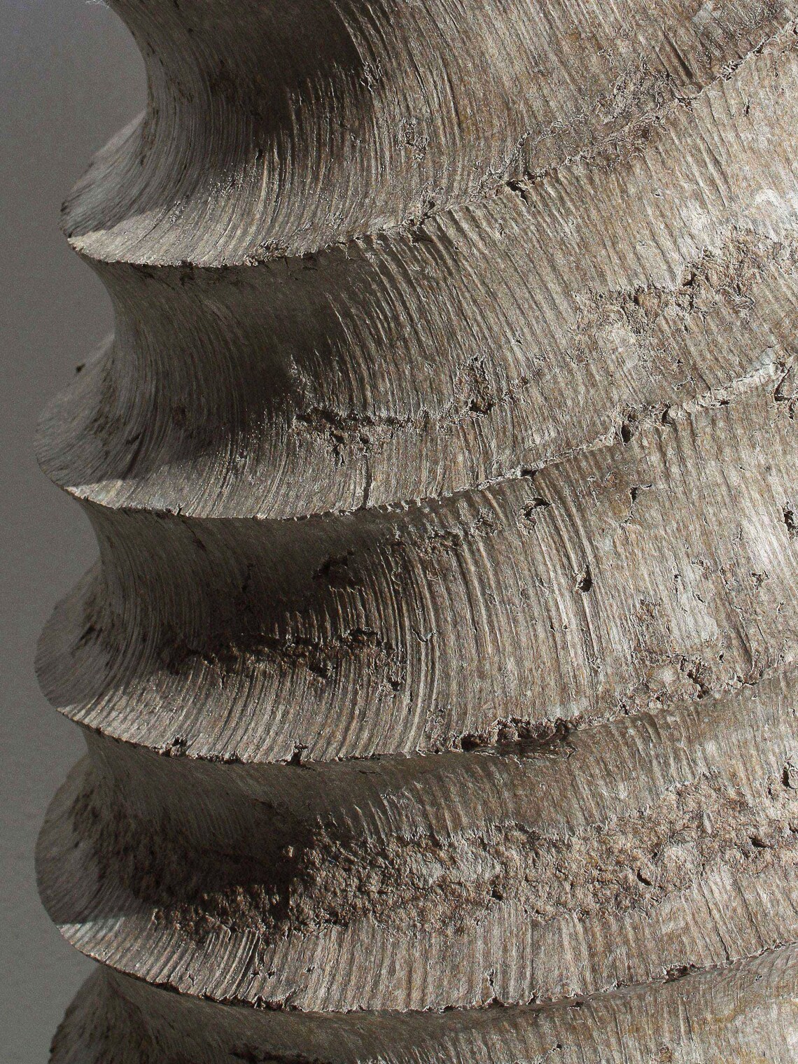 Textured Sculptural Vase, Collectible Art, Large Handmade Vase ...