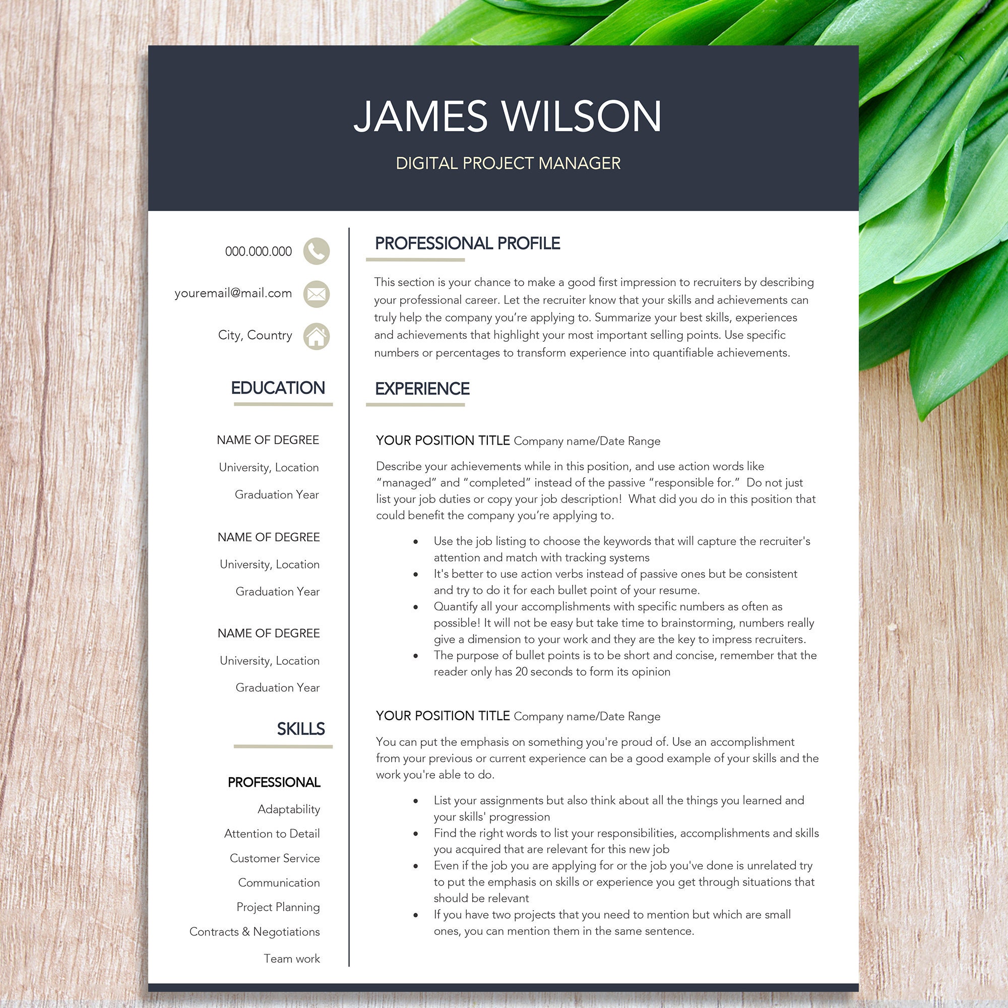Resume Template Instant Download, Template Resume, Word Professional ...