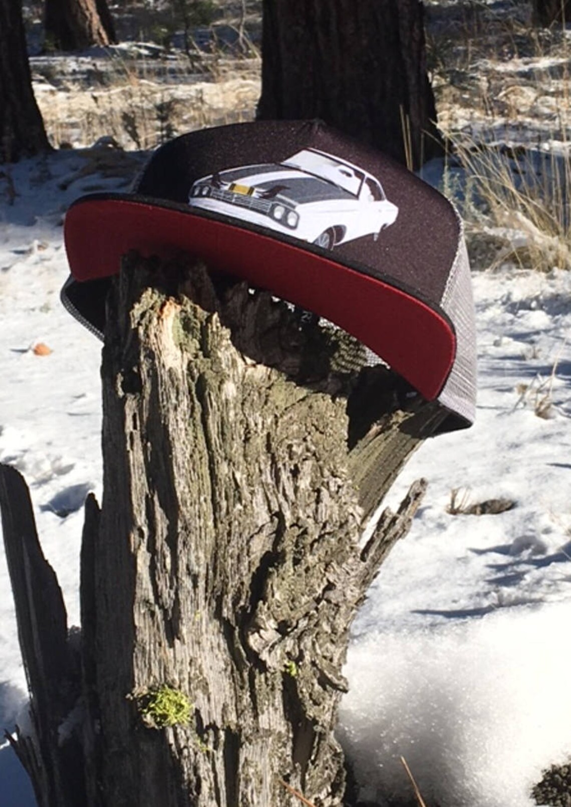 Snow Ride Trucker Hat - Etsy