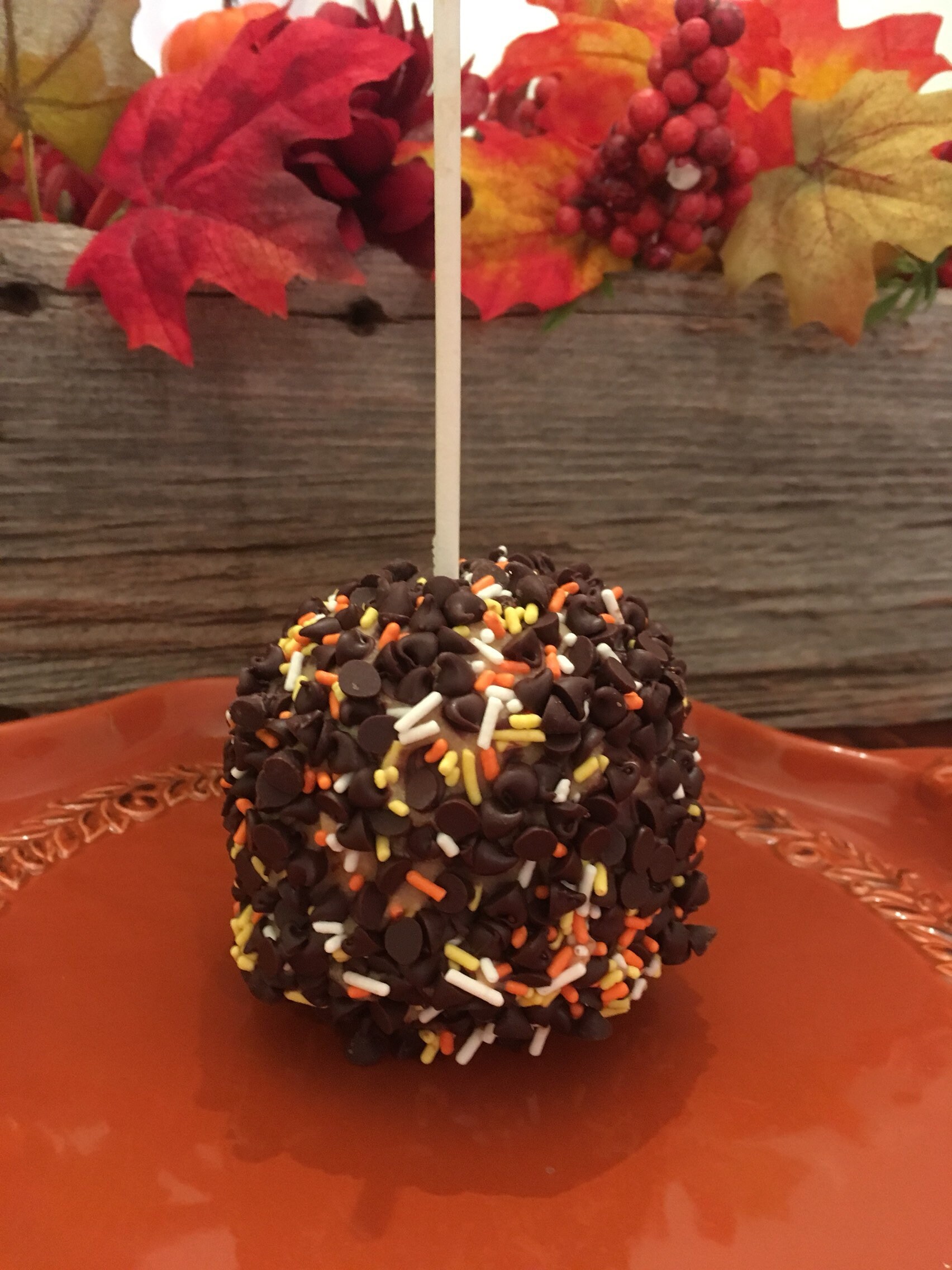 Chocolate Caramel Apple Fall Treat Fall Desserts Autumn - Etsy