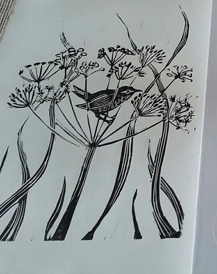 Wren Sitting in Cow Parsley. - Etsy