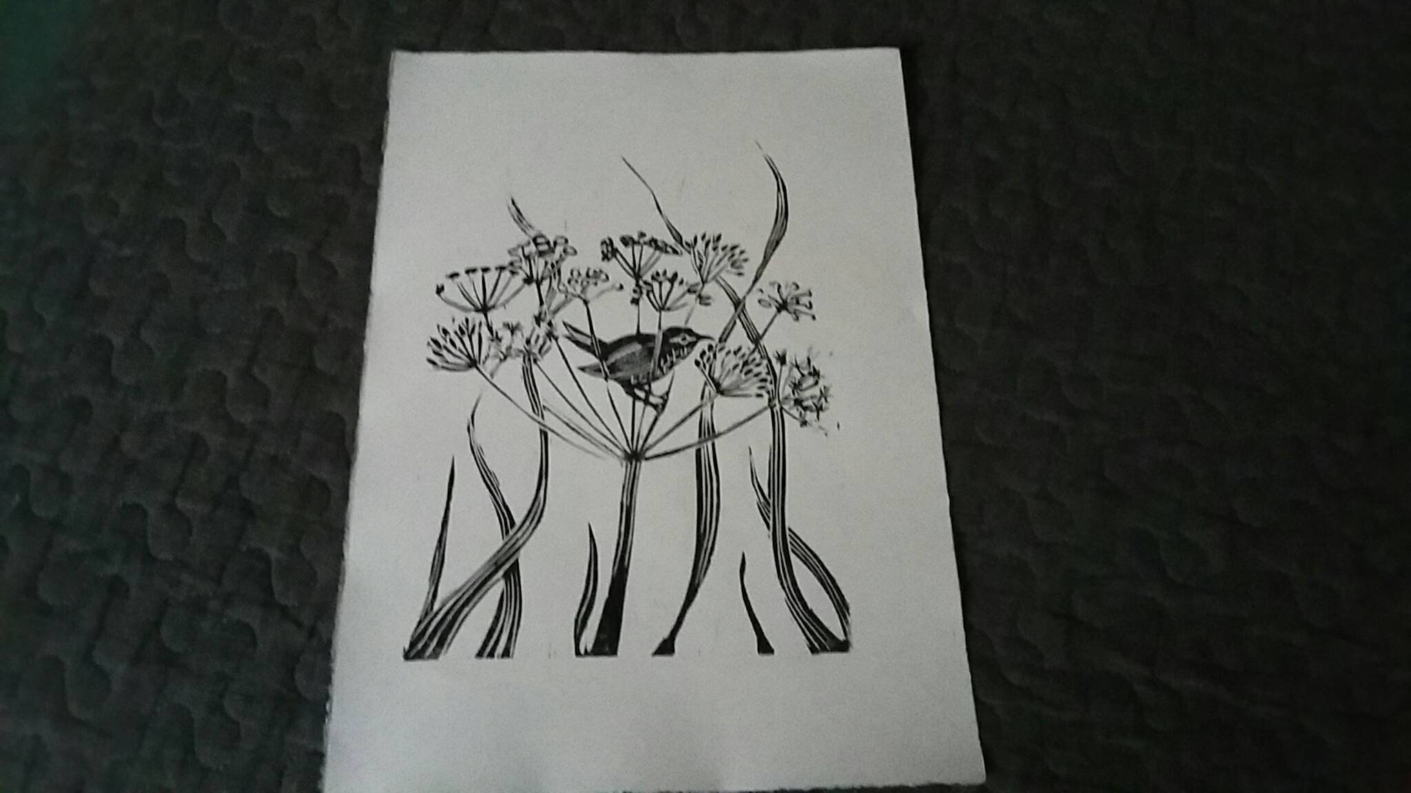 Wren Sitting in Cow Parsley. - Etsy