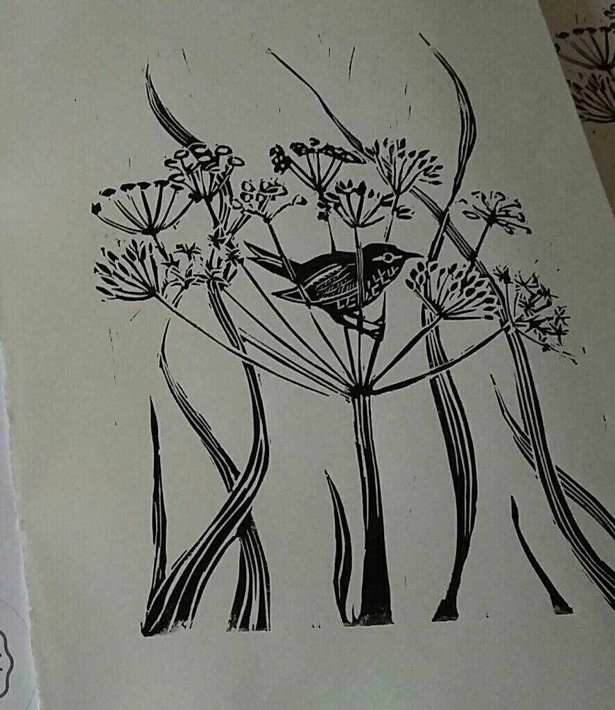 Wren Sitting in Cow Parsley. - Etsy