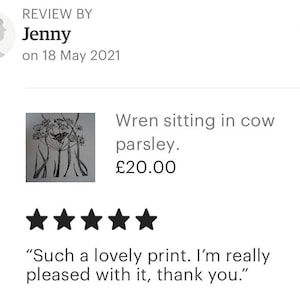 Wren Sitting in Cow Parsley. - Etsy