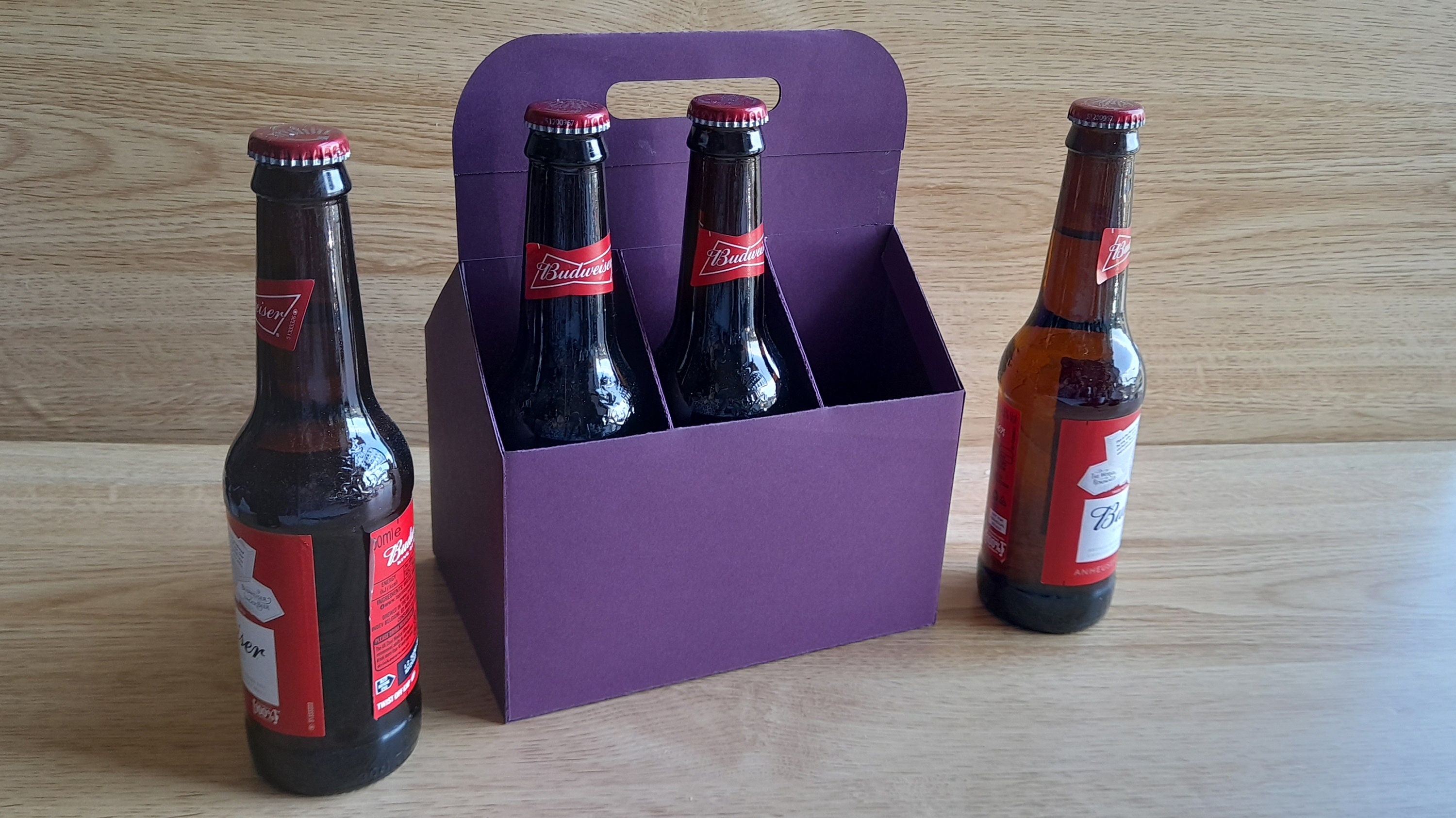 Empty Six Pack Beer