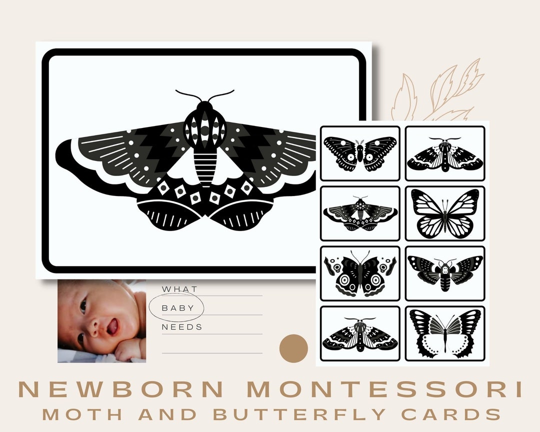 Montessori Newborn Moth and Butterfly Cards, Digital Download - Etsy