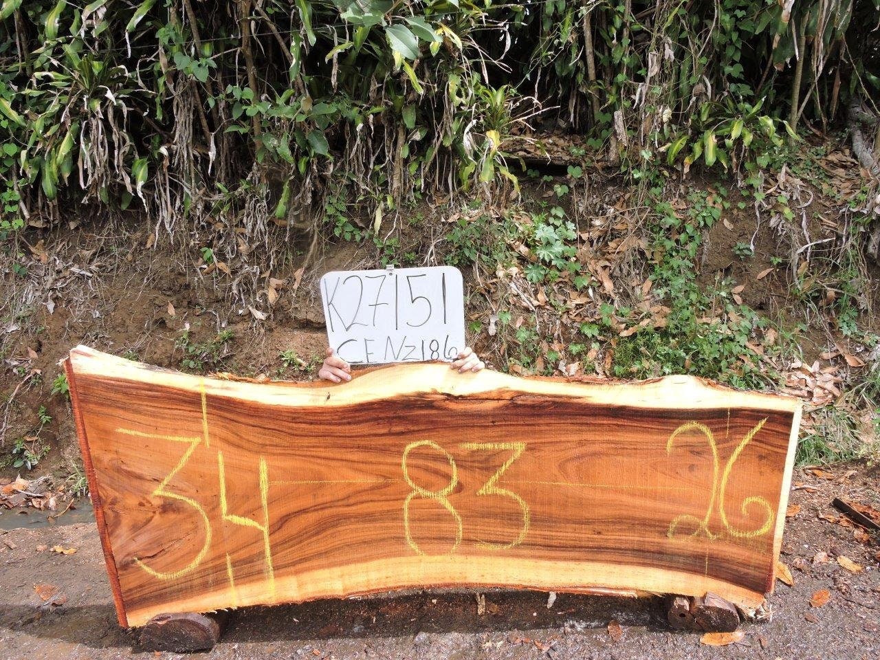 Raw, Live Edge, Monkey Pod Slab SKU K27151 - Etsy