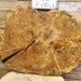 Live Edge Cross Cut Spalted Maple With Caviar Resin Fill SKU# 050322-18 ...