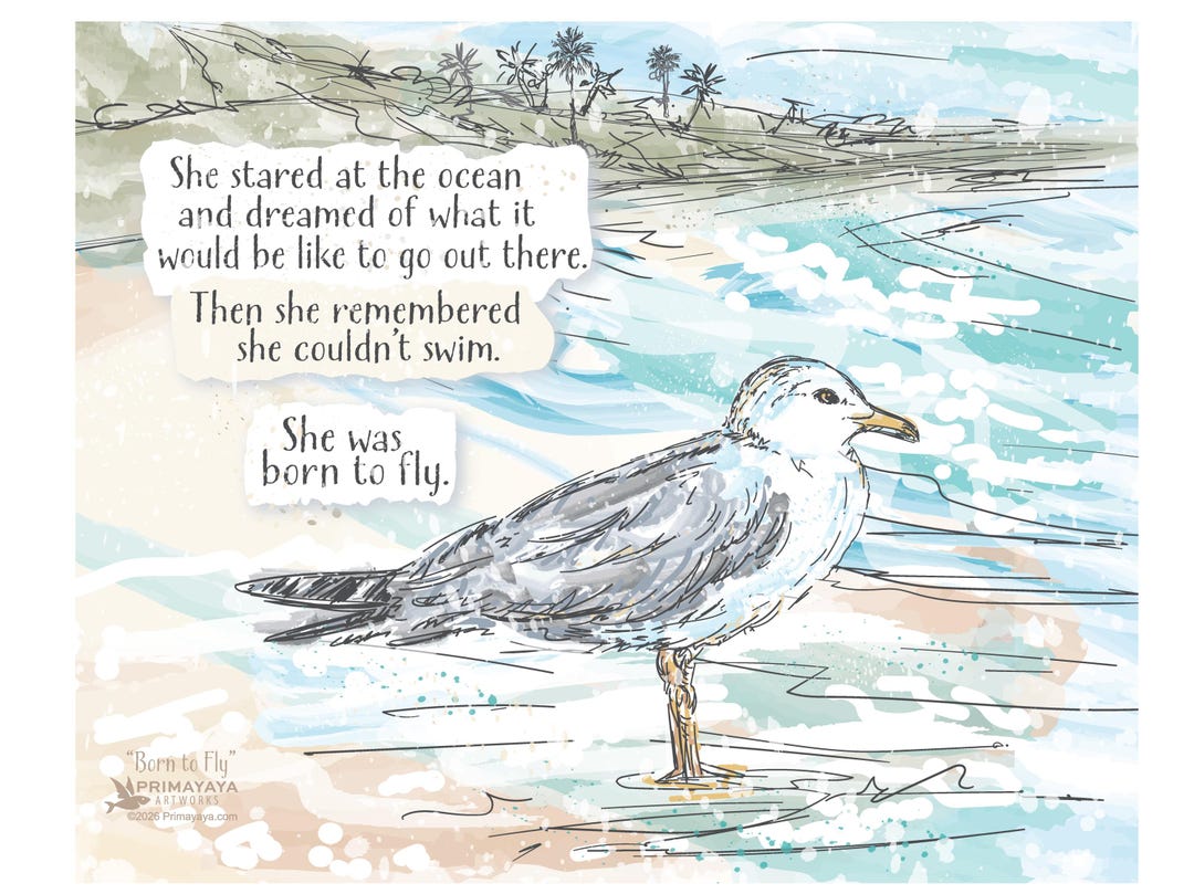 Born to Fly Seagull Inspirational Wall Art - Etsy