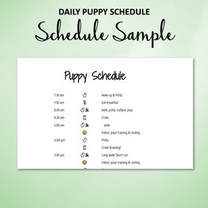 Editable Puppy Schedule & Guidelines | Daily New Dog Routine - Etsy