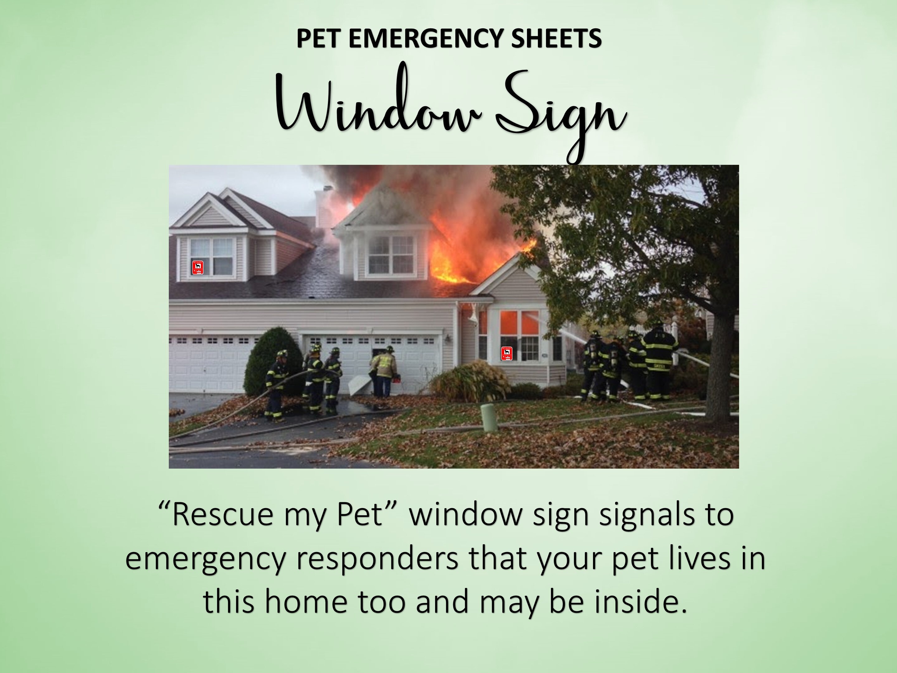 Printable Pet Emergency Info Kit | Dog ICE Sheets | Pet Emergency ...