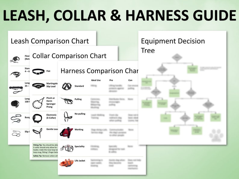 Leash, Collar & Harness Guide | Use the Right Equipment With Your Dog ...