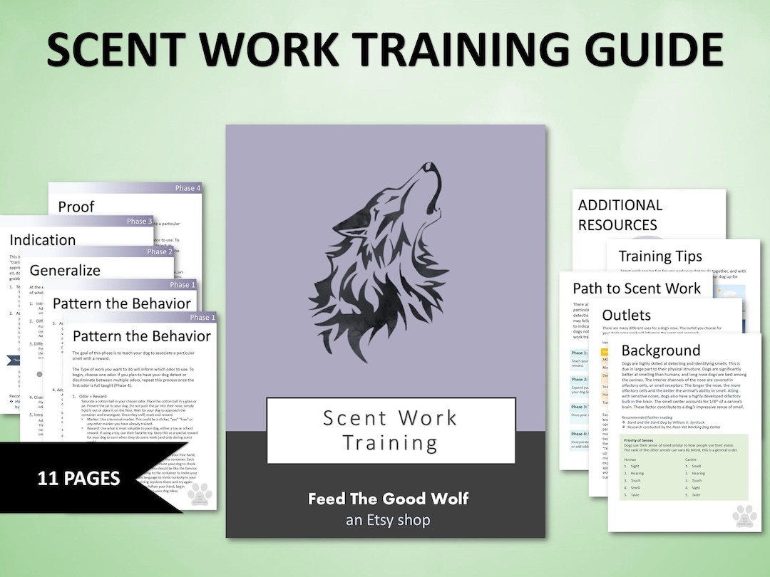 Scent Work Training Guide | Nose Work Step by Step - Etsy