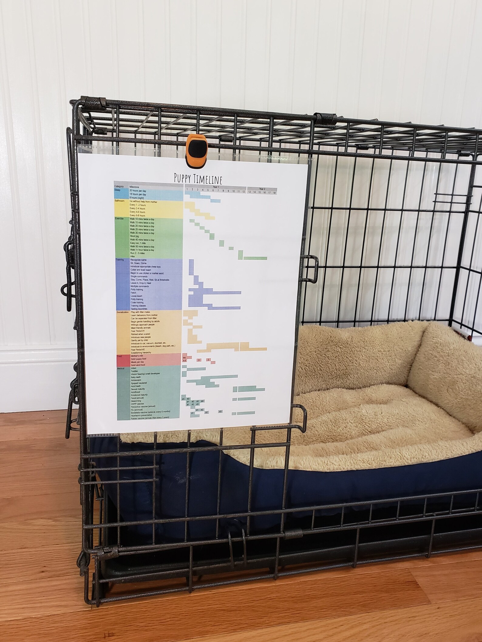 Printable Puppy Growth Gantt Chart | Dog Development Milestone Schedule ...