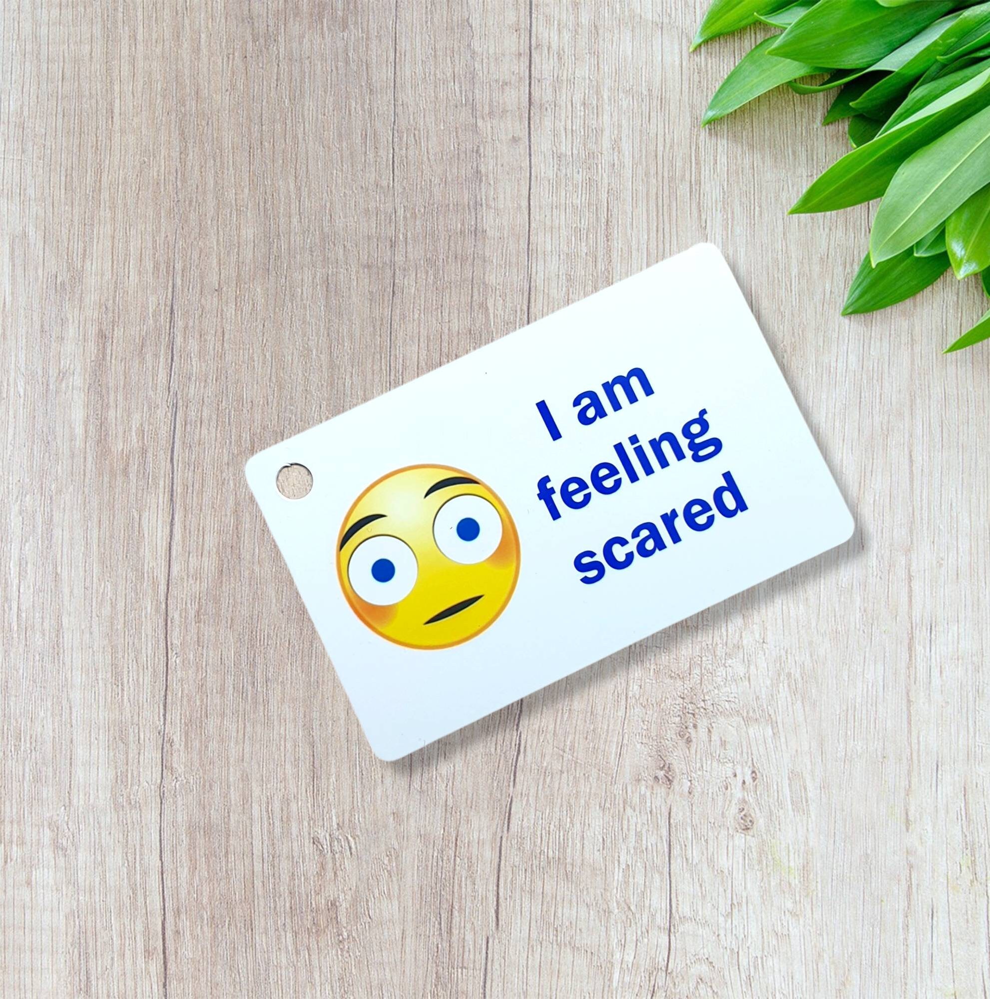 Feelings and Emotions Flash Cards Keyring Visual and - Etsy