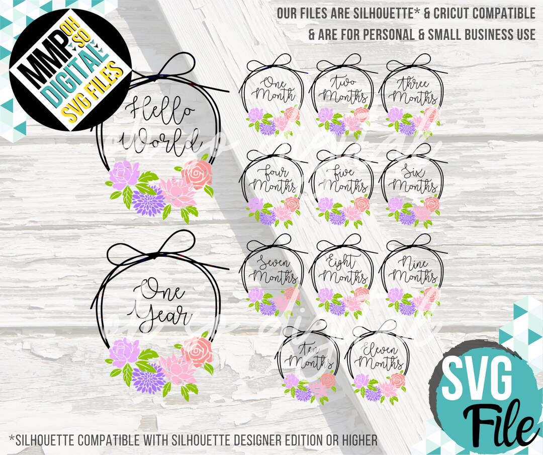 Flower Milestone SVG Baby Monthly Photo First Year Milestone - Etsy