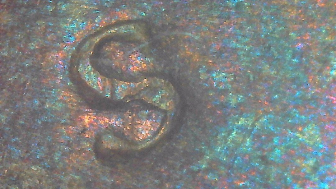 1946 S Abraham Lincoln Wheat One Cent Penny Over Mint Mark Variety ...