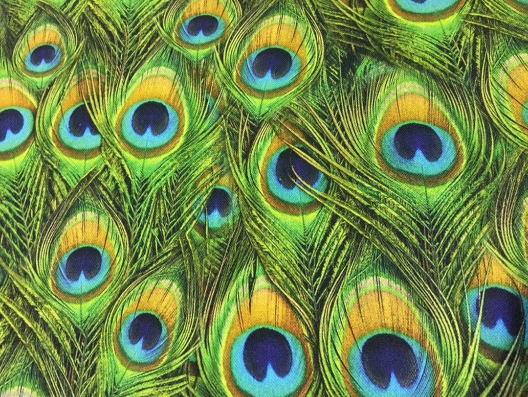 Digitally Printed Peacock Cotton Canvas, Peacock Fabric by the Yard, 55 ...