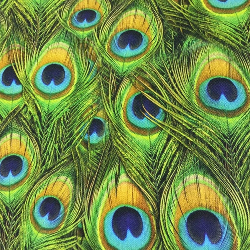 Peacock Fabric - Etsy