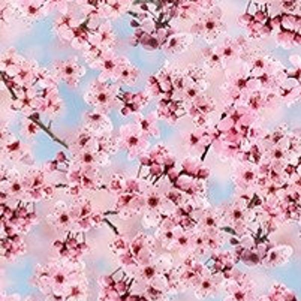 Cherry Blossom Fabric - Etsy