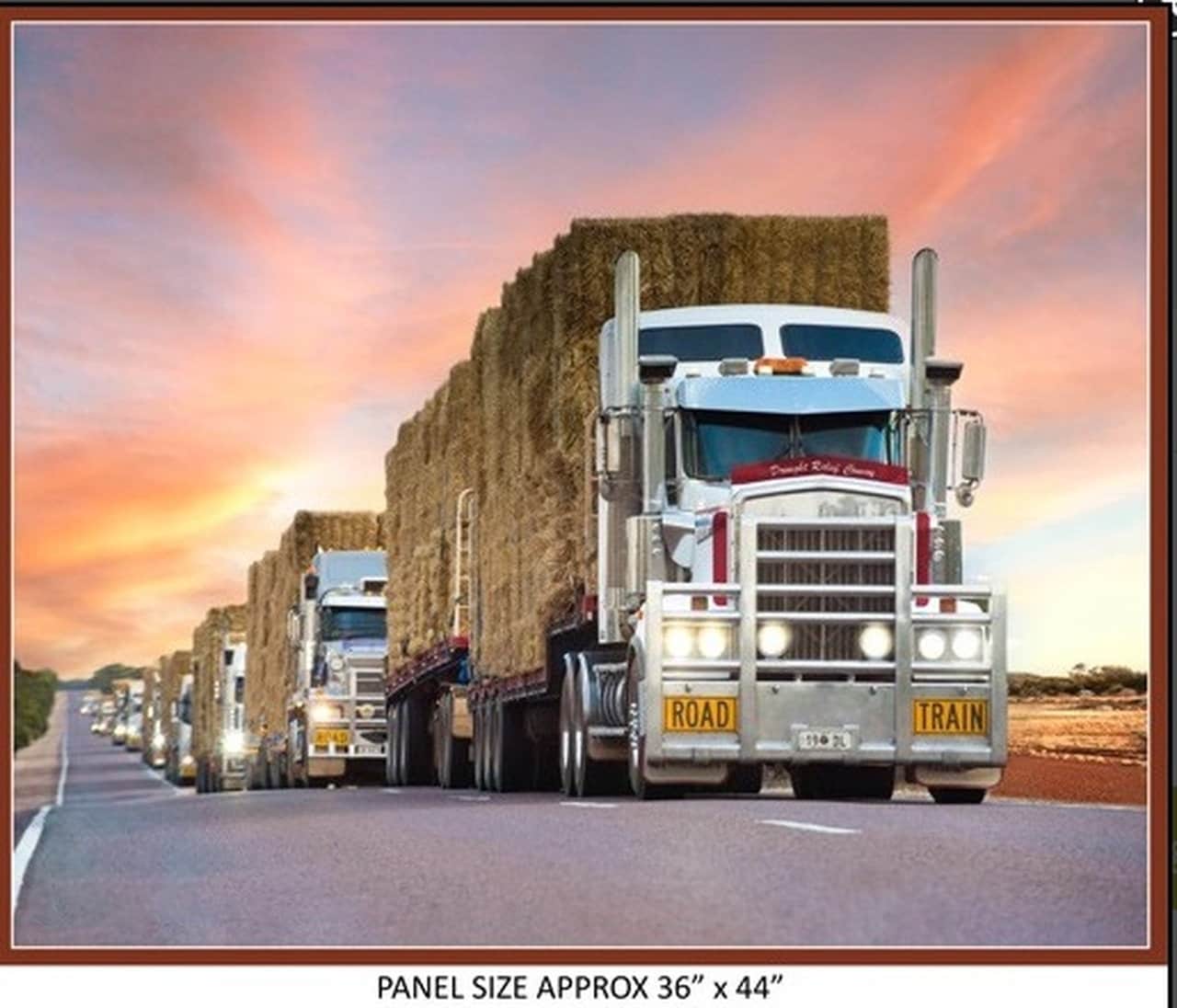 Truck Panel, Road Trains Panel the Drought Convoy 1006E, Kennard ...