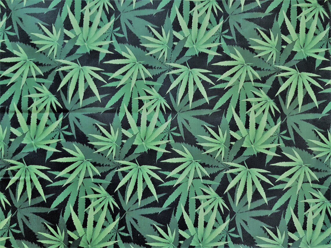 Cannabis Fabric, Weed Fabric, Cannabis Plants on Black 100% Quilting ...
