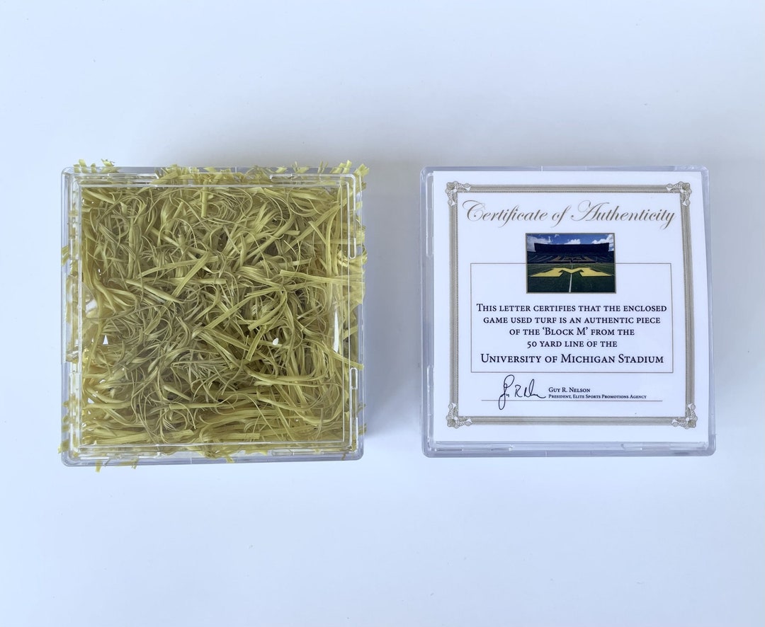 Michigan Wolverines Game Used Piece of Turf From the Famous "block M ...