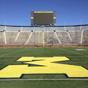Michigan Wolverines Game Used Piece of Turf From the Famous "block M ...