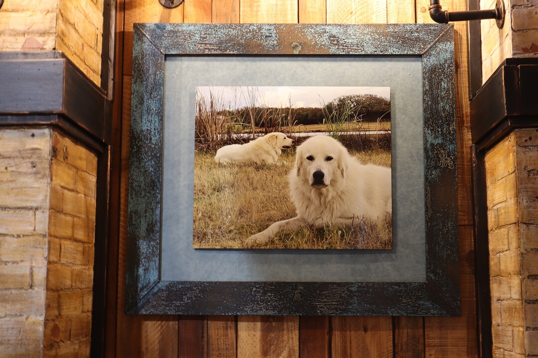 Sampson and Bo | Western Cowhide Framework- Rustic Farmhouse Style ...