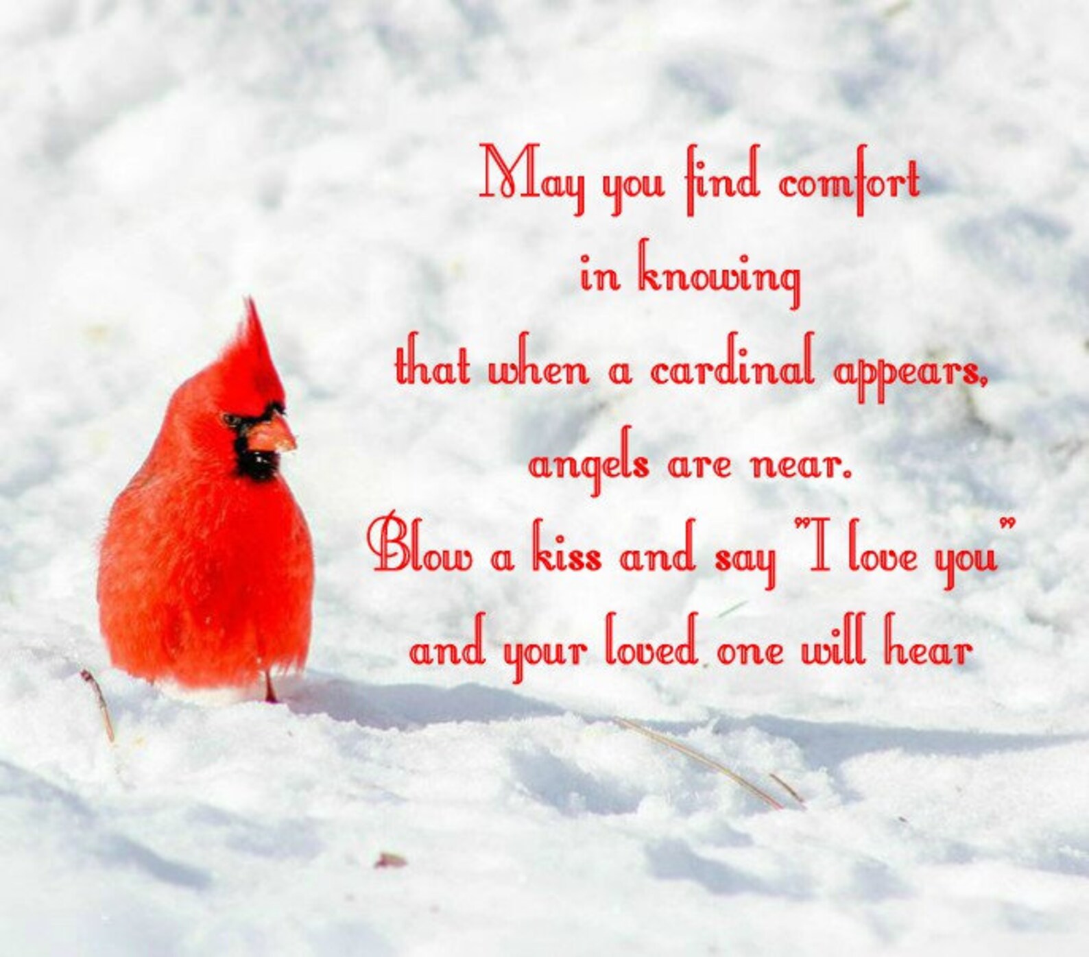Cardinal Print 8 X 10, Mourning Cardinal Print, Bereavement Print ...