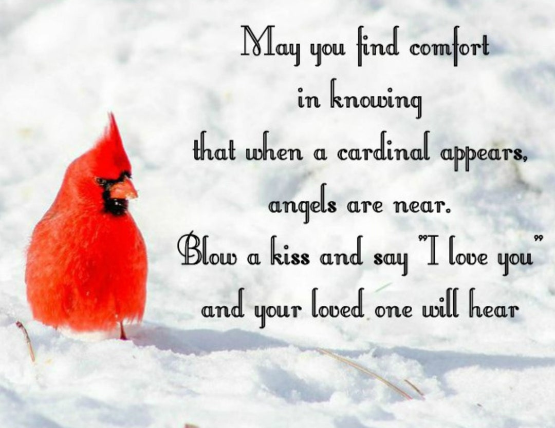 Cardinal Print 8 X 10, Mourning Cardinal Print, Bereavement Print ...