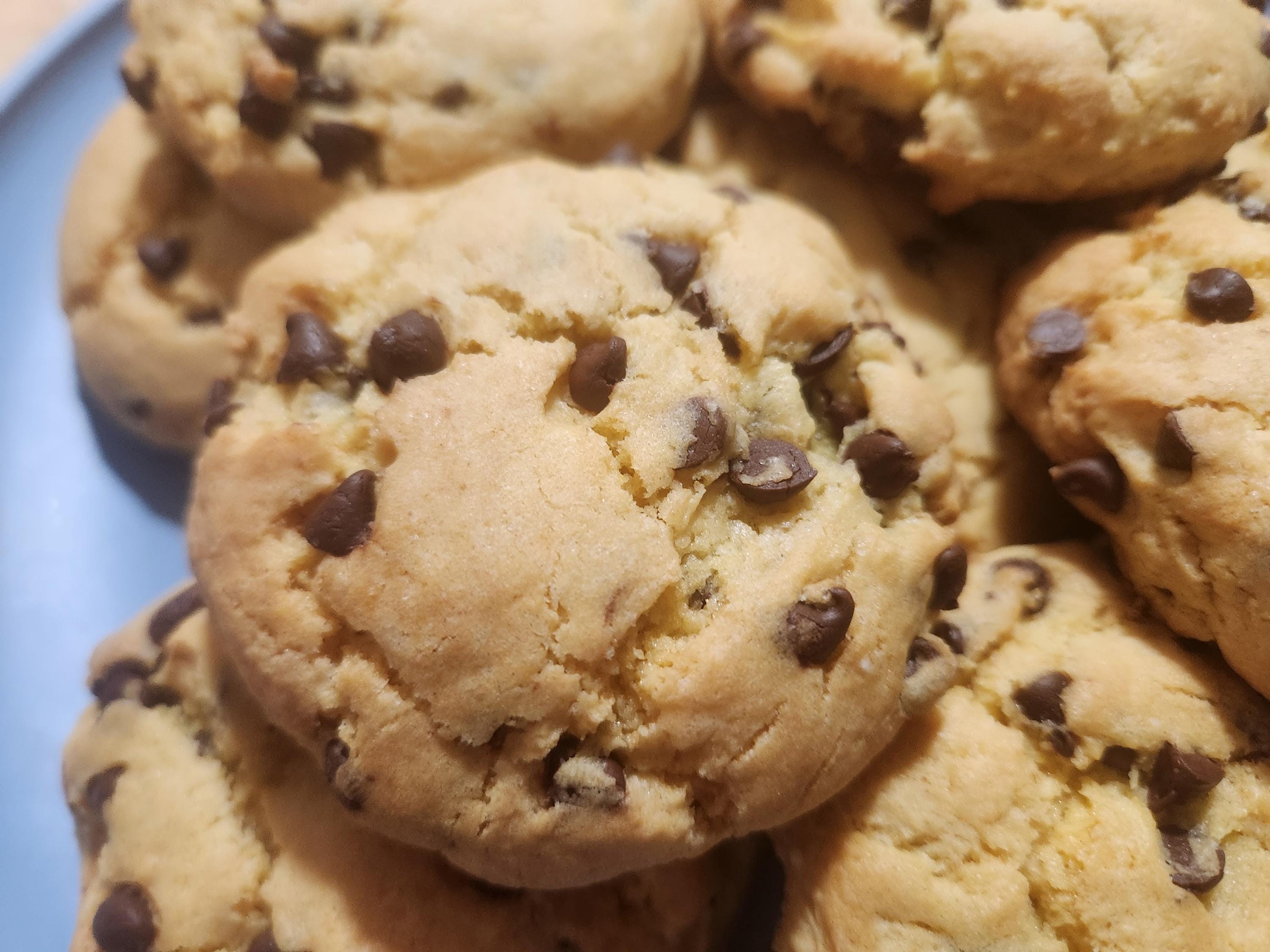 Over-sized Mega Chocolate Chip Cookies - Etsy