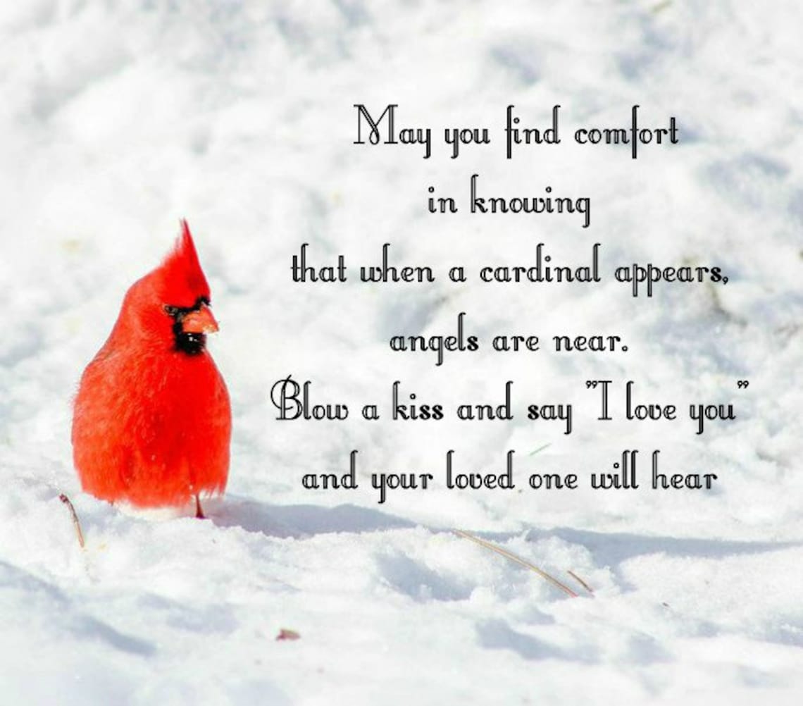 Cardinal Print 8 X 10 Mourning Cardinal Print Bereavement - Etsy
