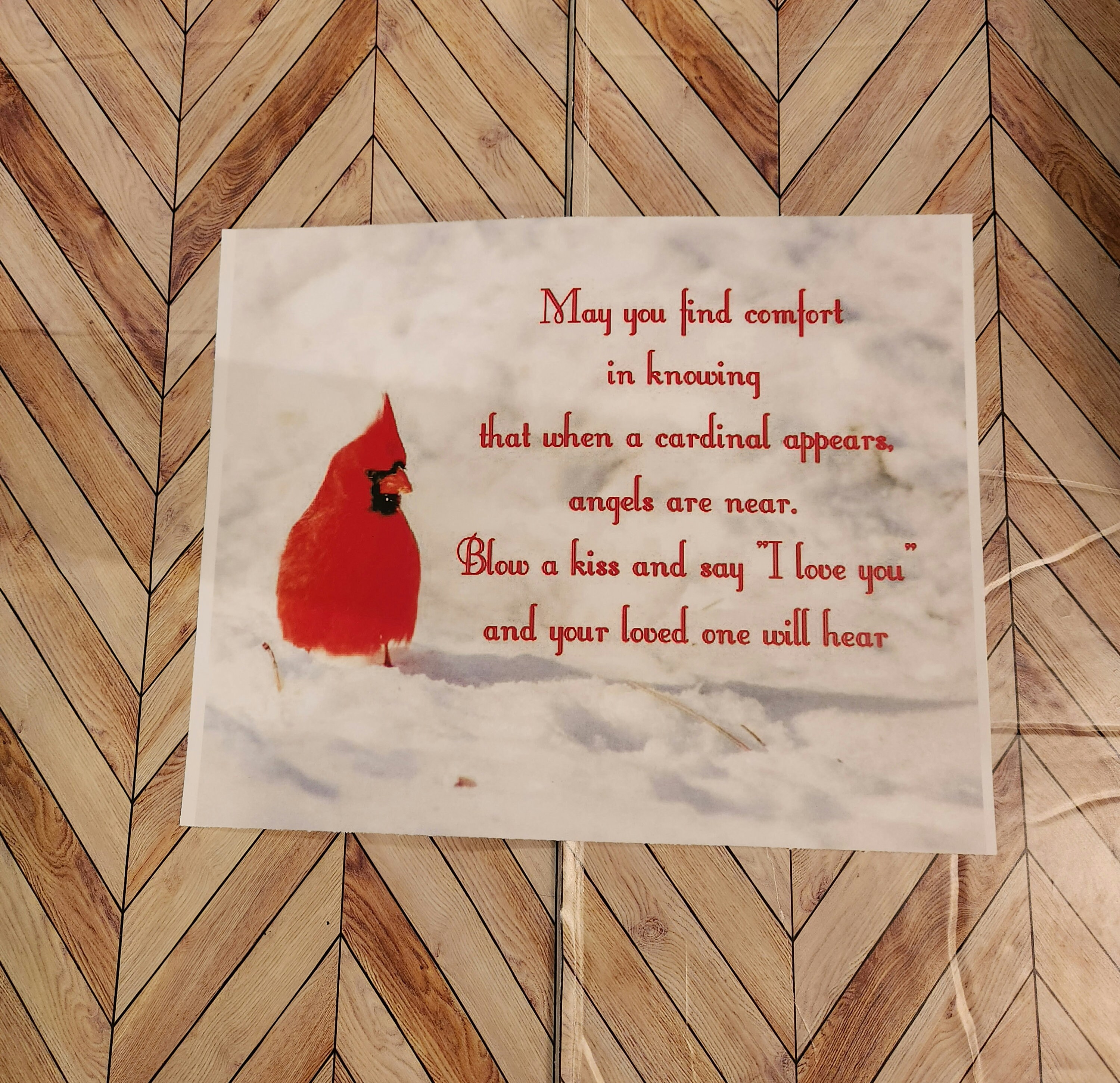 Cardinal Print 8 X 10, Mourning Cardinal Print, Bereavement Print ...