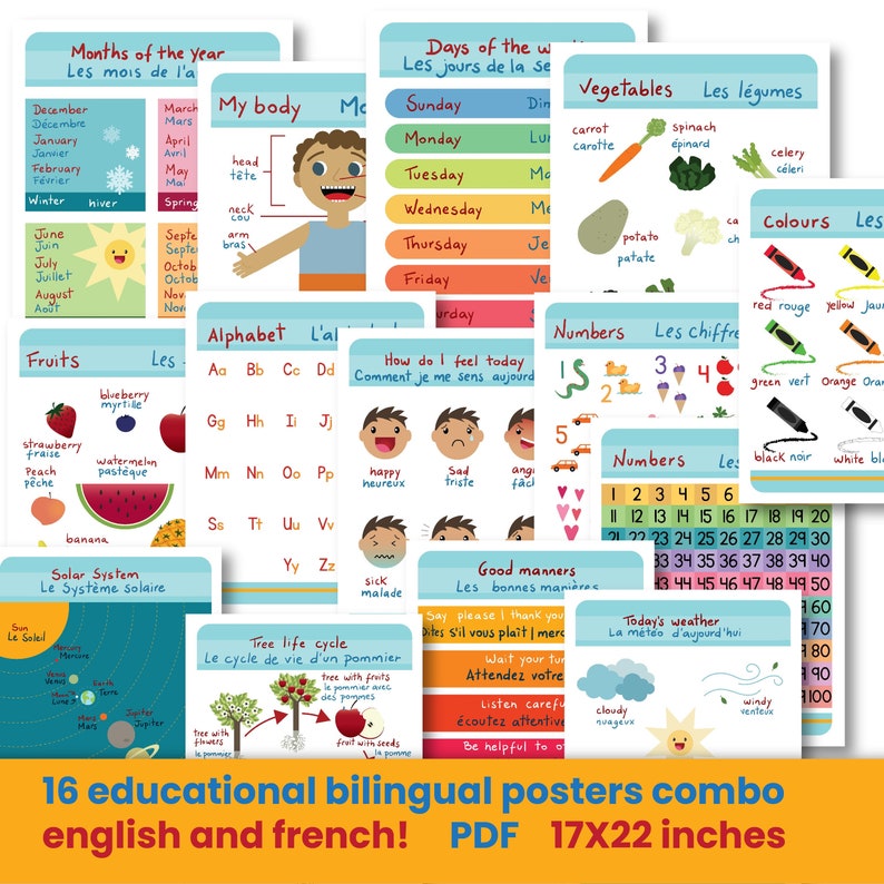 Bilingual Educational Posters set of 16 French and English - Etsy