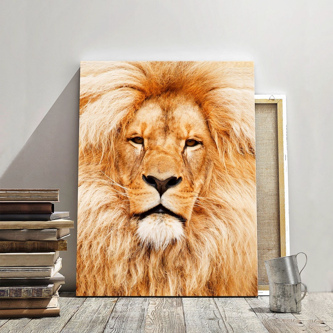 Lion Wall Art Canvas Print, Lion Picture Canvas, Majestic Lion Canvas ...